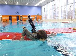 action & fun club Lünen e.V.